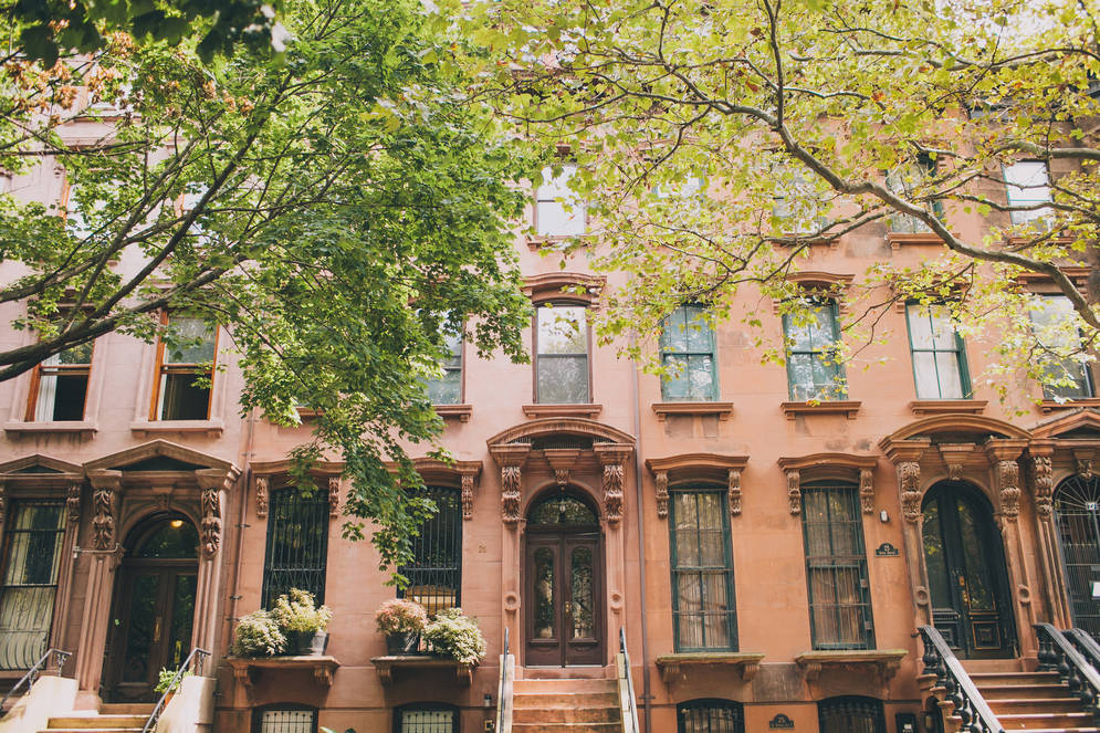 Brooklyn’s Fort Greene – Phoenix Hammer